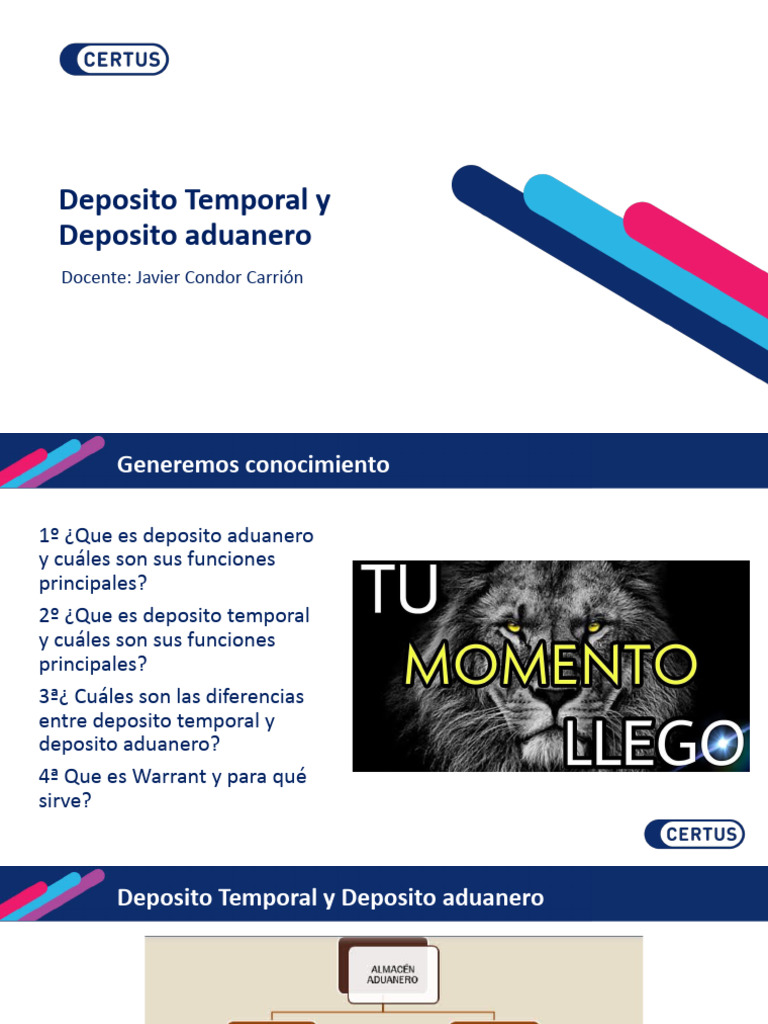Deposito Temporal y Deposito Aduanero | PDF | aduana | Transporte