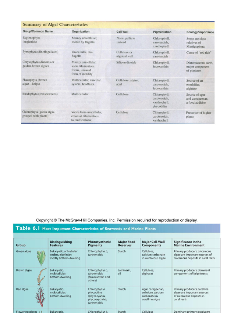Algae Table of Division | PDF