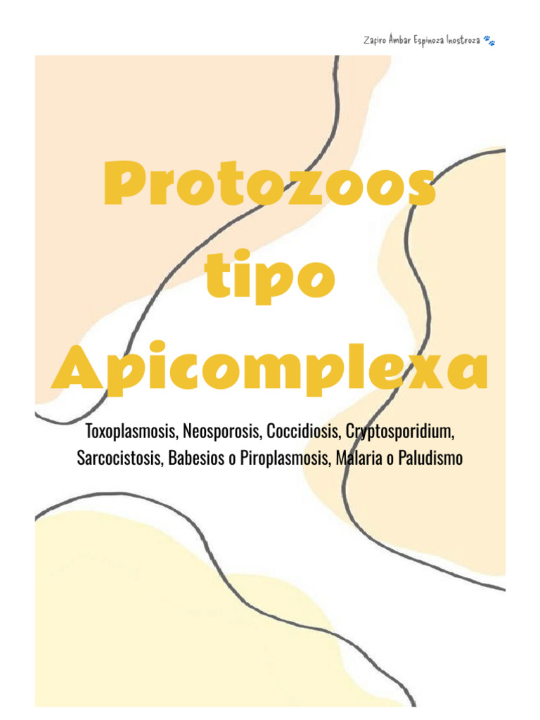 Protozoos del Phylum Apicomplexa | PDF | Biología | Especialidades Medicas