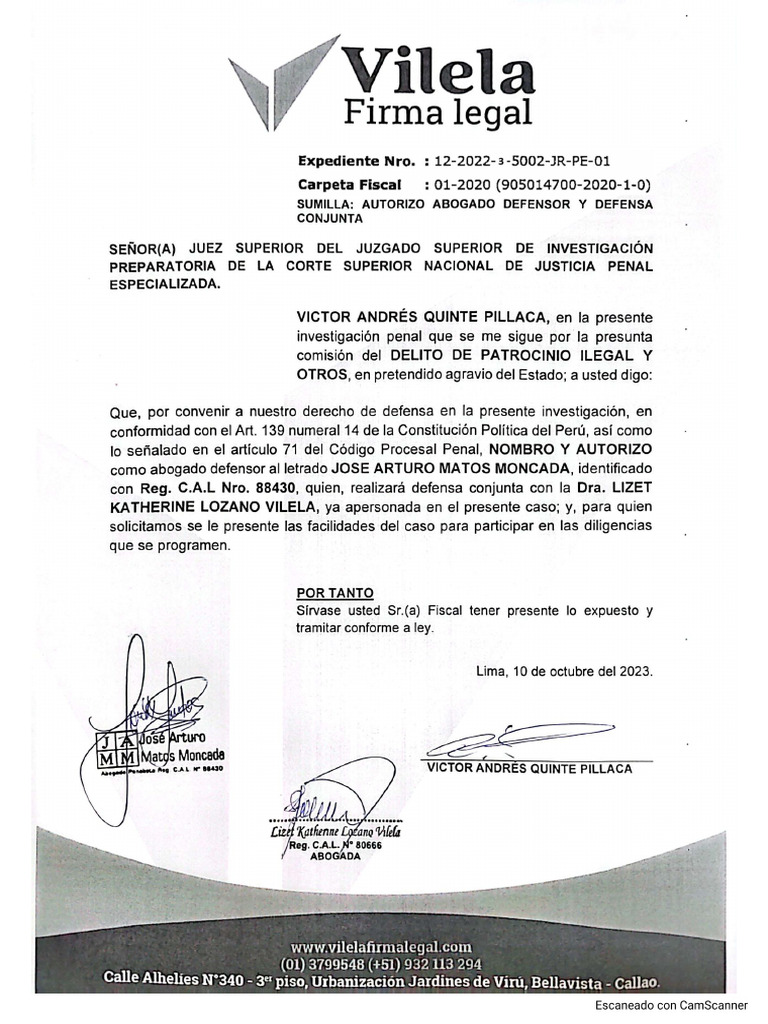 Autorizo Defensa Conjunta - Quinte | PDF