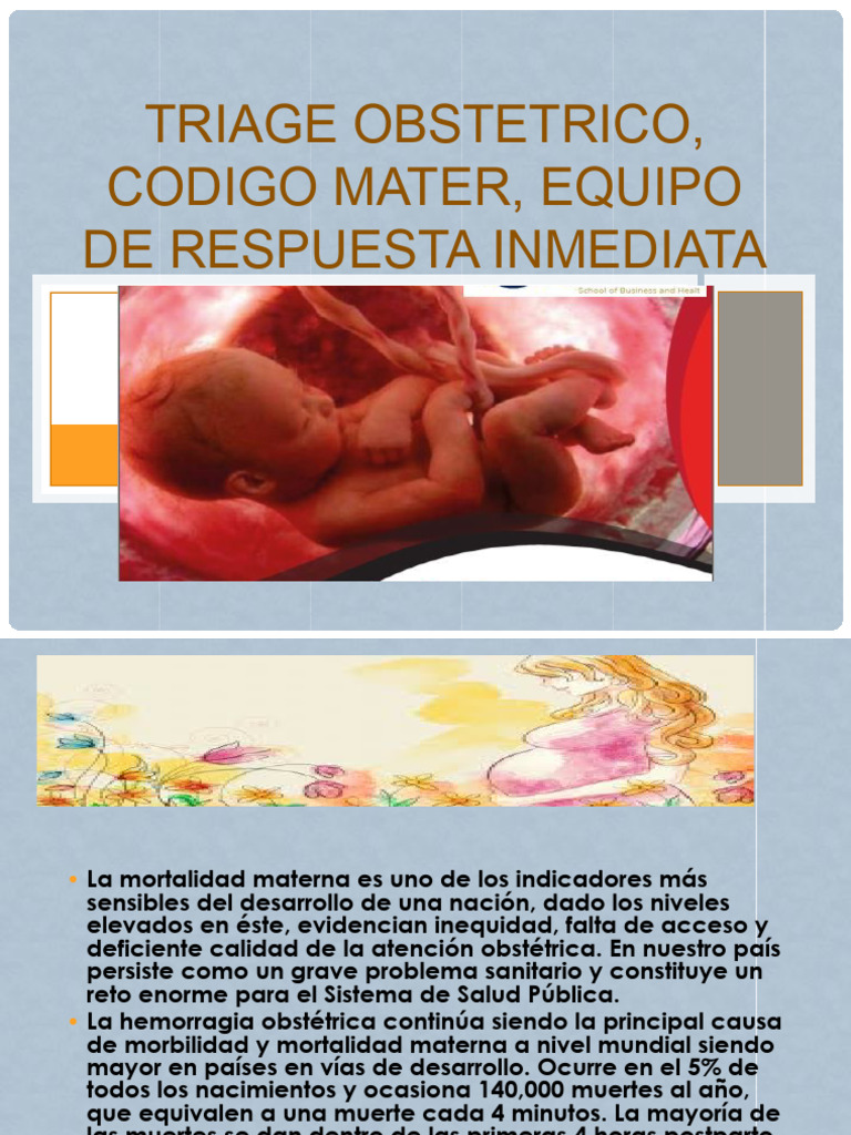 Codigo Mater | PDF | Muerte materna | El embarazo