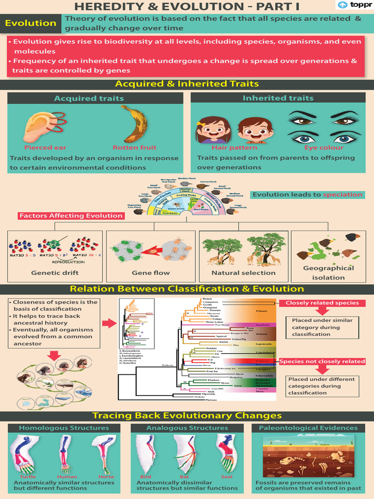 Heredity-Evolution Part 01 and 02 | PDF