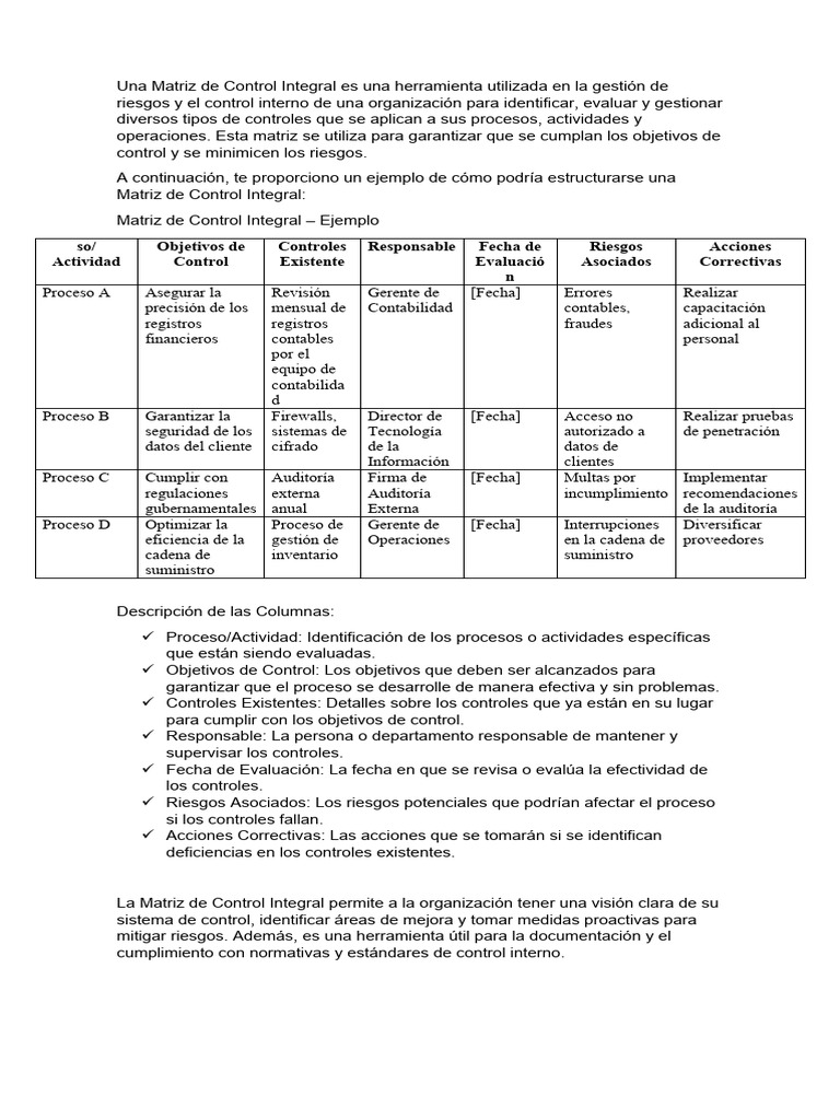 Matriz de Control Integral en Gestión de Riesgos | PDF | Auditoría ...