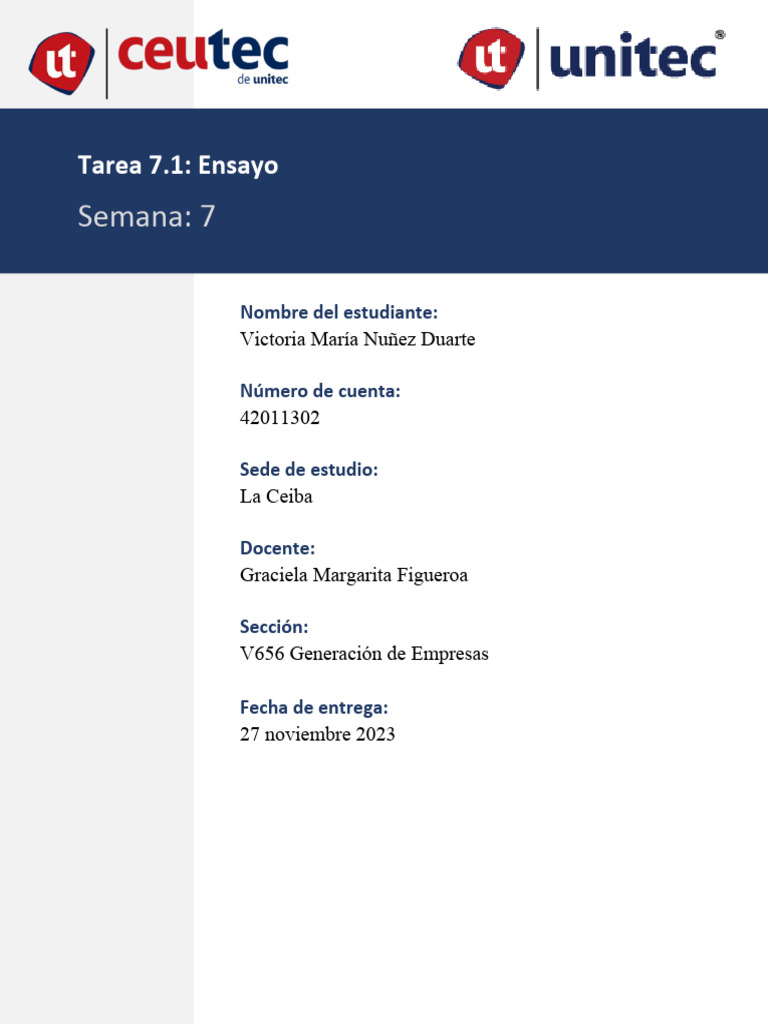 S7 - Tarea 7.1 - Ensayo - V | PDF