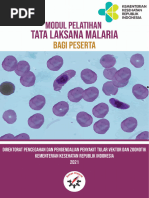 BUKU SAKU Tatalaksana Malaria | PDF | Pengembangan Diri