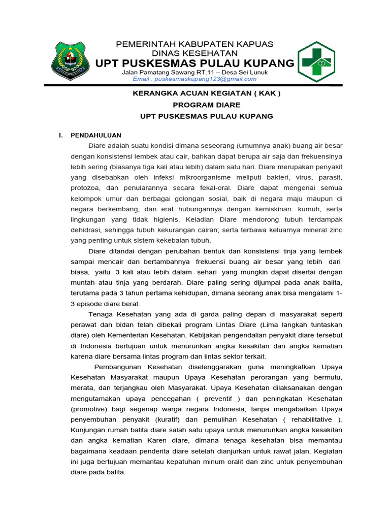 Program Diare Balita Puskesmas | PDF | Pengembangan Diri | Kesehatan Holistik