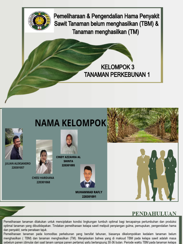Pemeliharaan Tanaman Kelapa Sawit TBM dan TM | PDF | Griya & Taman ...