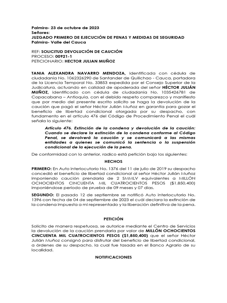 Petición Caución | PDF | Justicia | Crimen y violencia