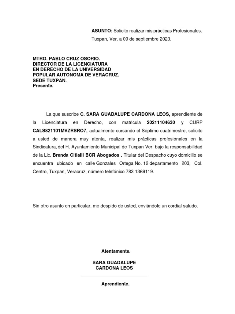 Solicitud para Practicas Profesionales. | PDF