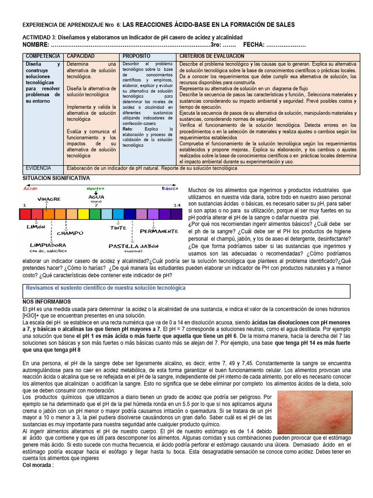 Indicador de pH Casero y su Elaboración | PDF | Ph | Ácido
