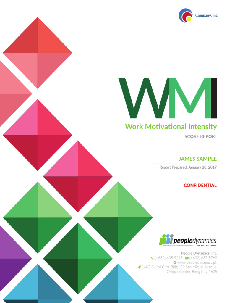 WMI - Sample Report | PDF | Motivational | Motivation