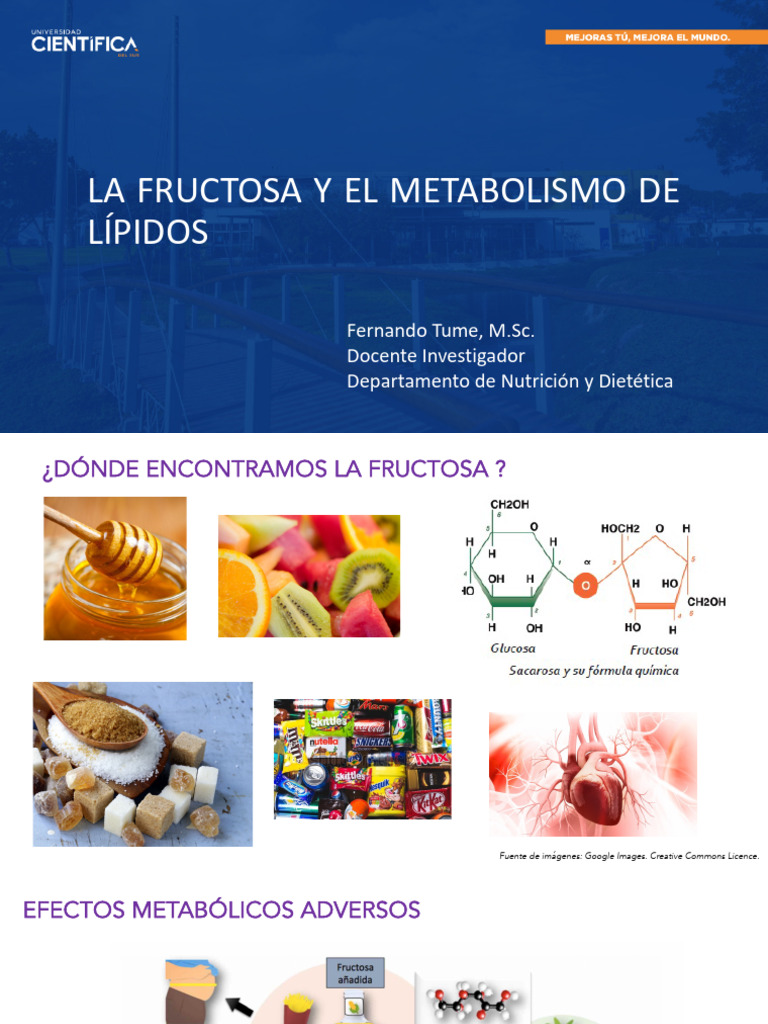 Metabolismo de La Fructosa | PDF