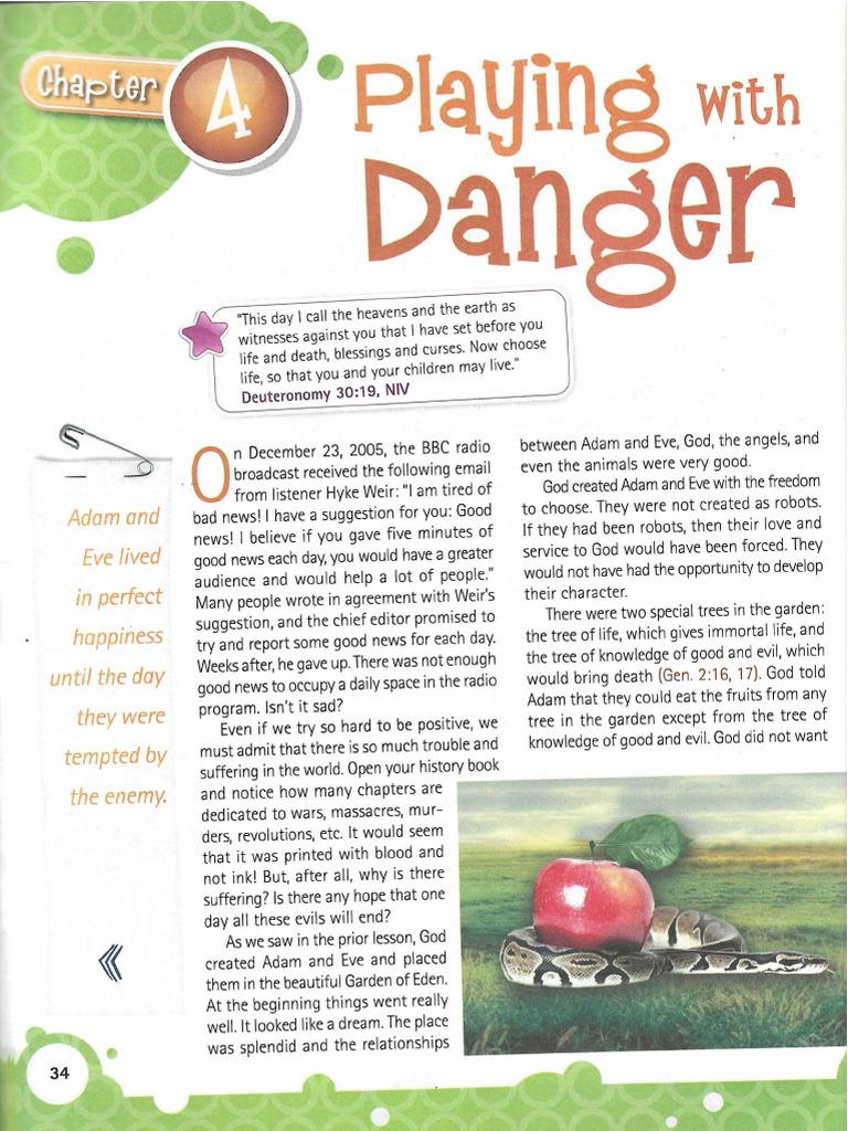 G7 Unit 1 Chapter 4 Playing With Danger | PDF