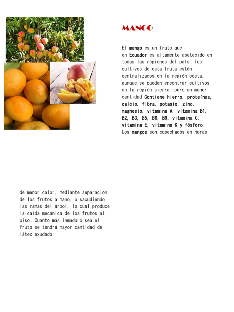 Mango | PDF