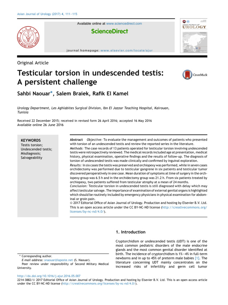 Testicular Torsion in Undescended Testis | PDF | Medical Specialties ...