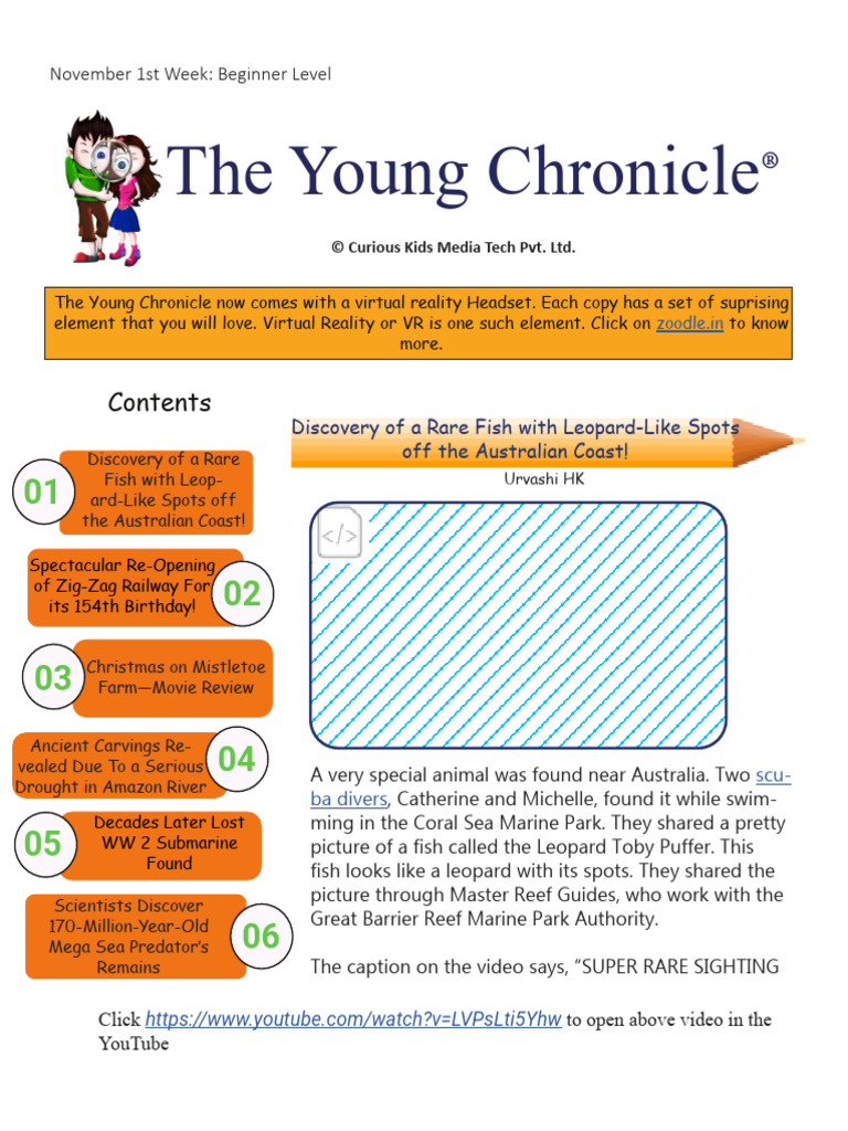 November 1st Week Beginner Level | PDF