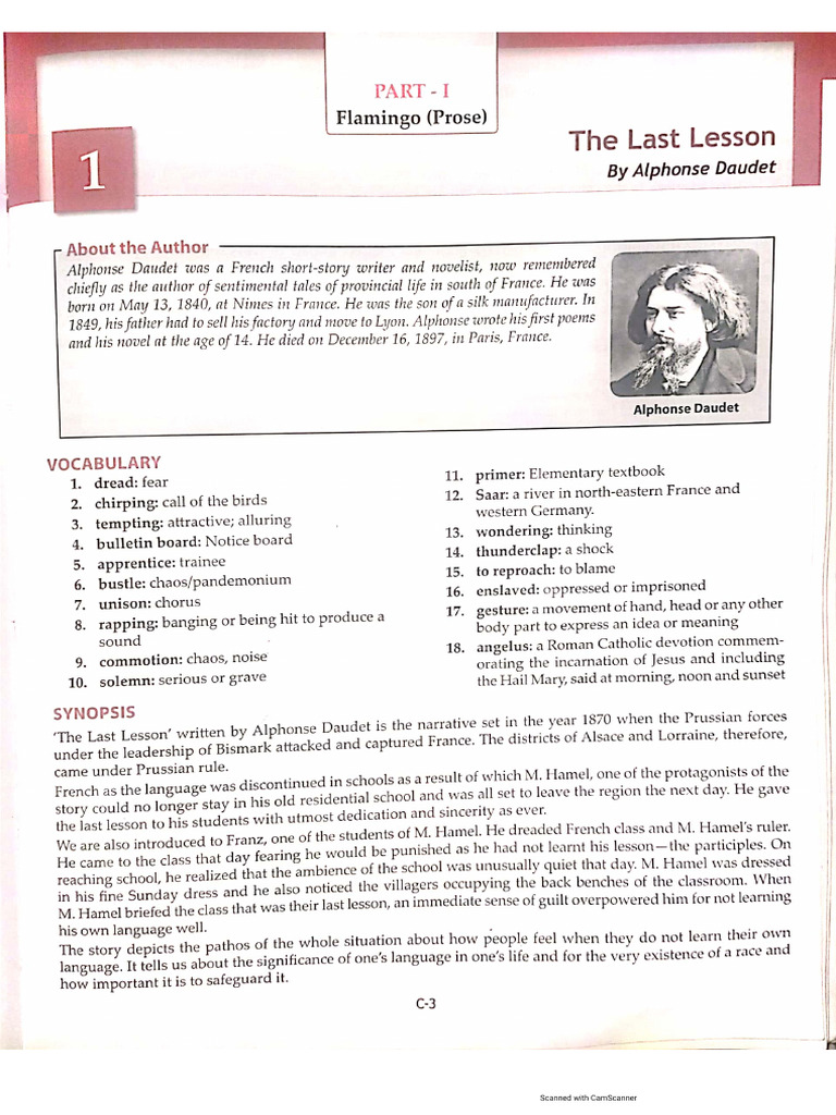 The Last Lesson | PDF