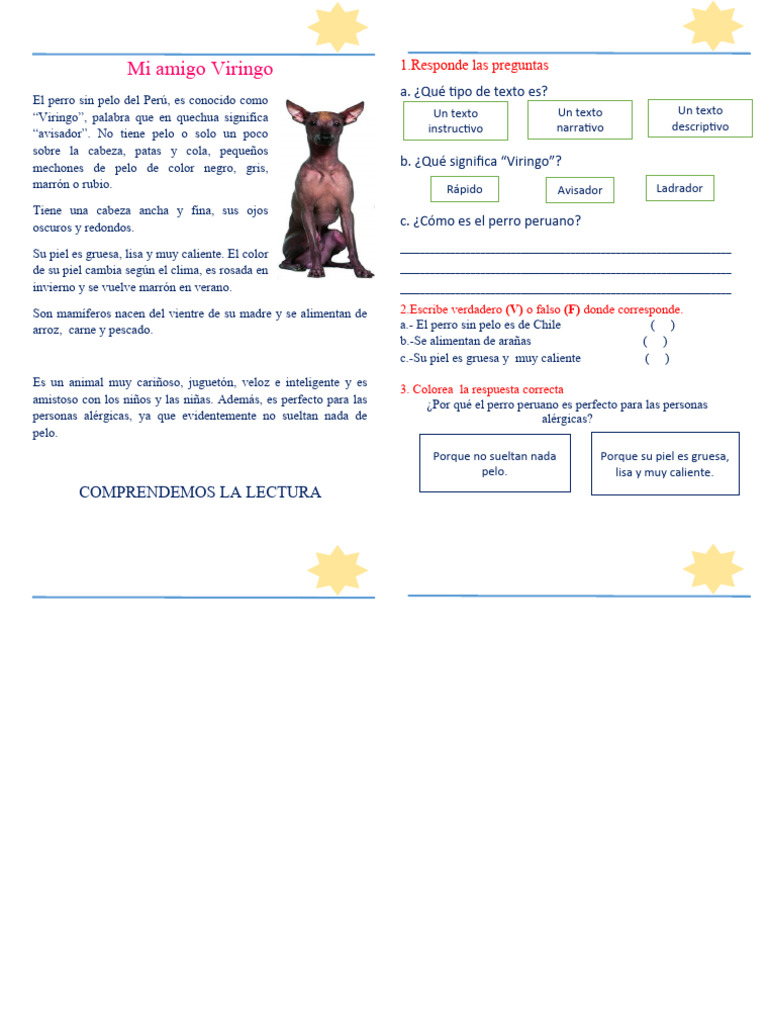 FICHA-Viringo Perro Peruano | PDF | Pelo