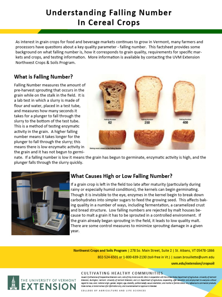 Falling Number Factsheet Apr2020 | PDF | Malt | Brewing