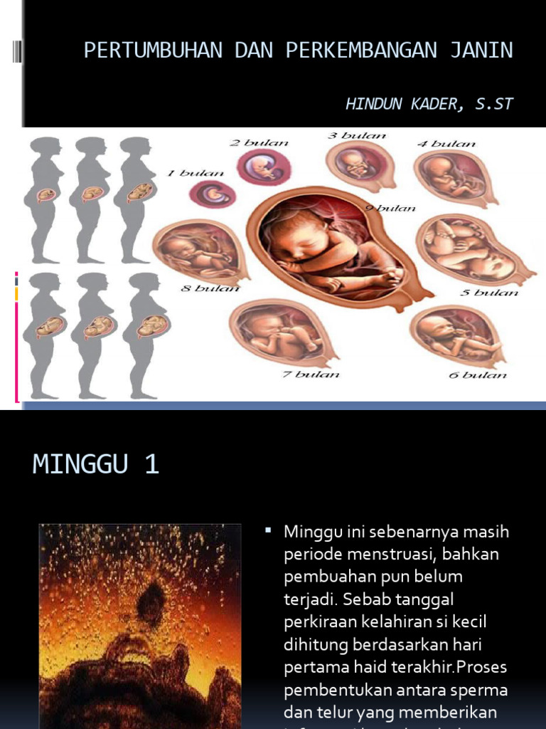 Pertumbuhan Janin Minggu ke Minggu | PDF