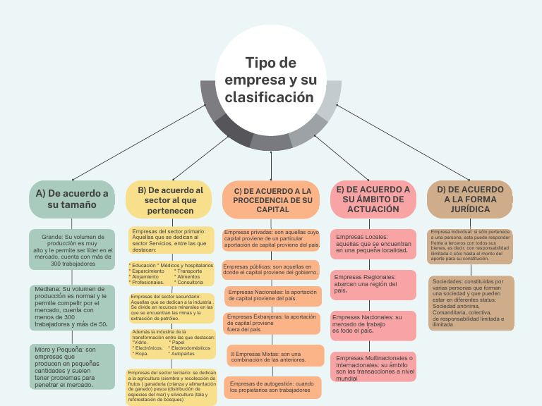 Organization Structure Chart Infographic Graph 20231113 225623