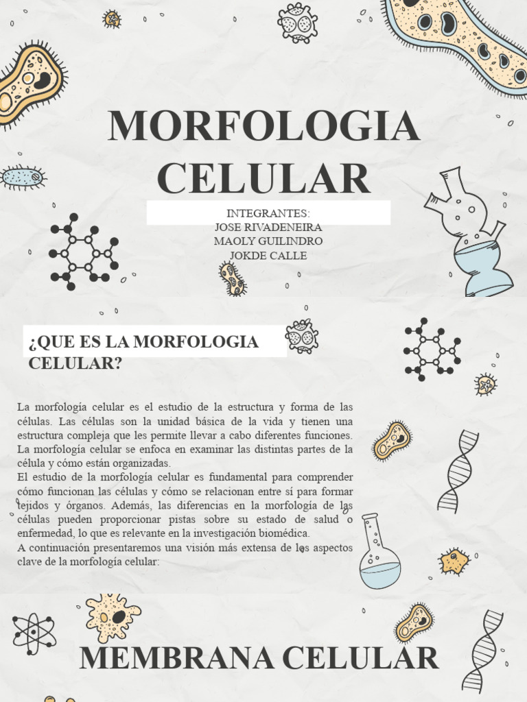 Morfologia Celular | PDF | Biología Celular) | Citoplasma