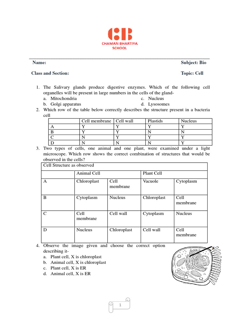 Biology Quiz for Students | PDF | Cell (Biology) | Eukaryotes