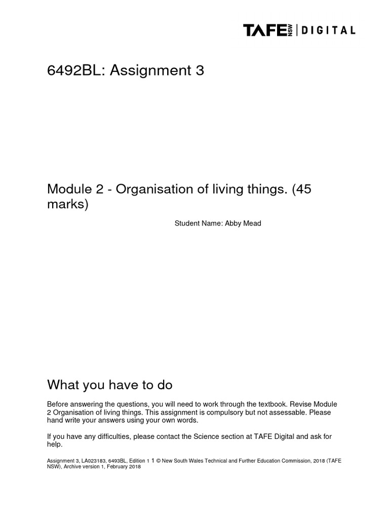 Bio Assignment 3 Complete | PDF | Artery | Small Intestine