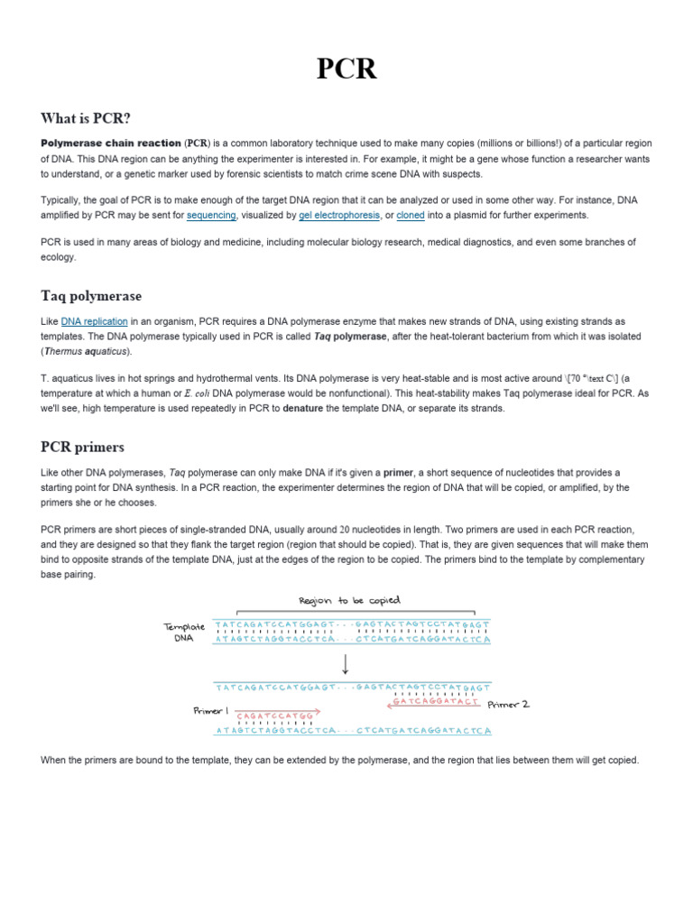 What Is PCR | PDF | Polymerase Chain Reaction | Primer (Molecular Biology)