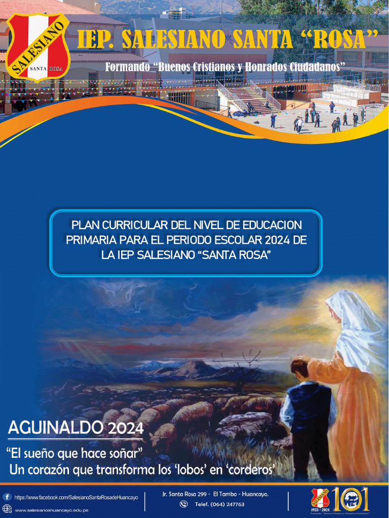 Plan Curricular de Nivel Primaria - SSR 2024 | PDF | Las emociones | Aprendizaje