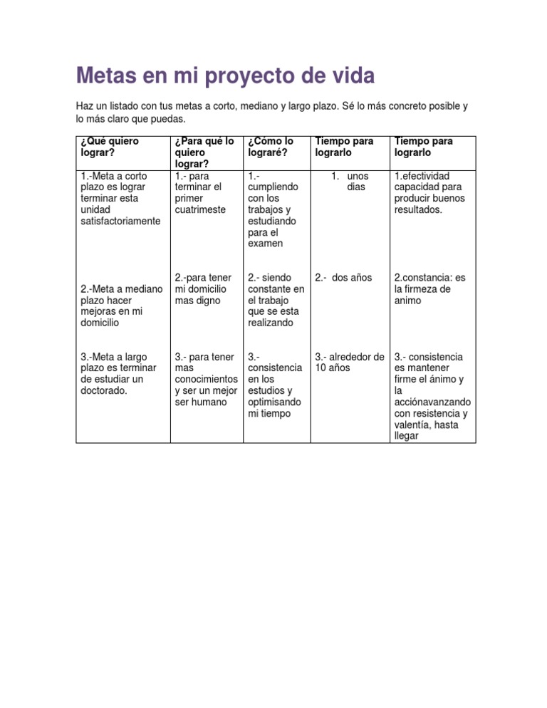 Metas en Mi Proyecto de Vida | PDF