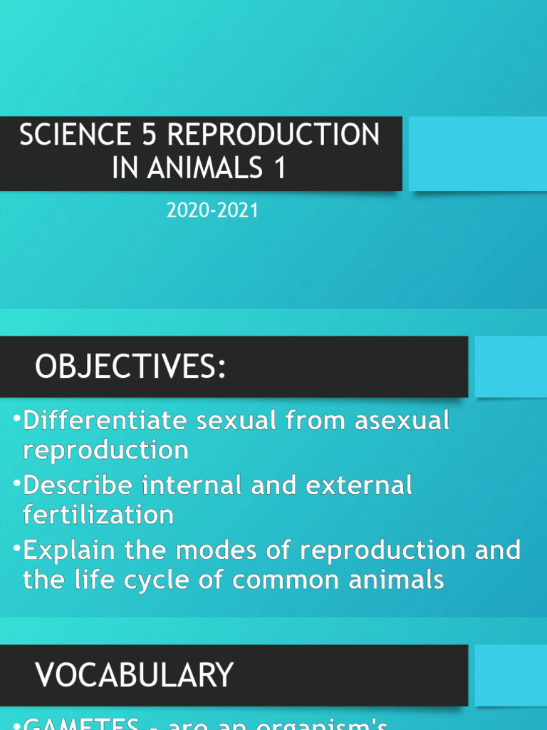 Science 5 Reproduction in Animals 1 | PDF | Sexual Reproduction | Egg