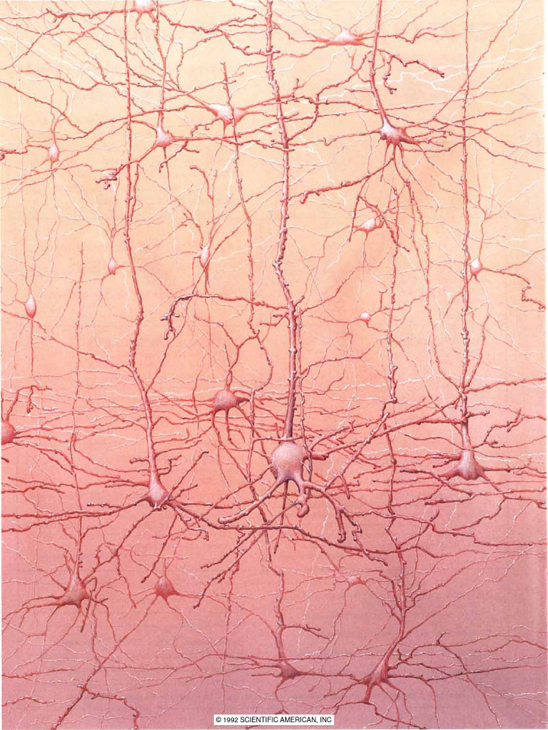 093 Hinton G | PDF | Artificial Neural Network | Neuron