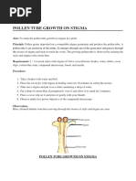 Class 12 Biology Experiment TS of Testes and LS of Ovary | PDF