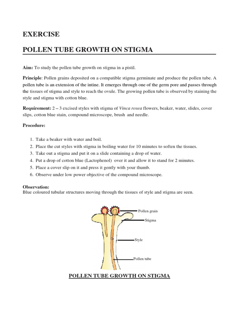 Pollen Tube Growth on Stigma Experiment | PDF | Home & Garden | Science ...