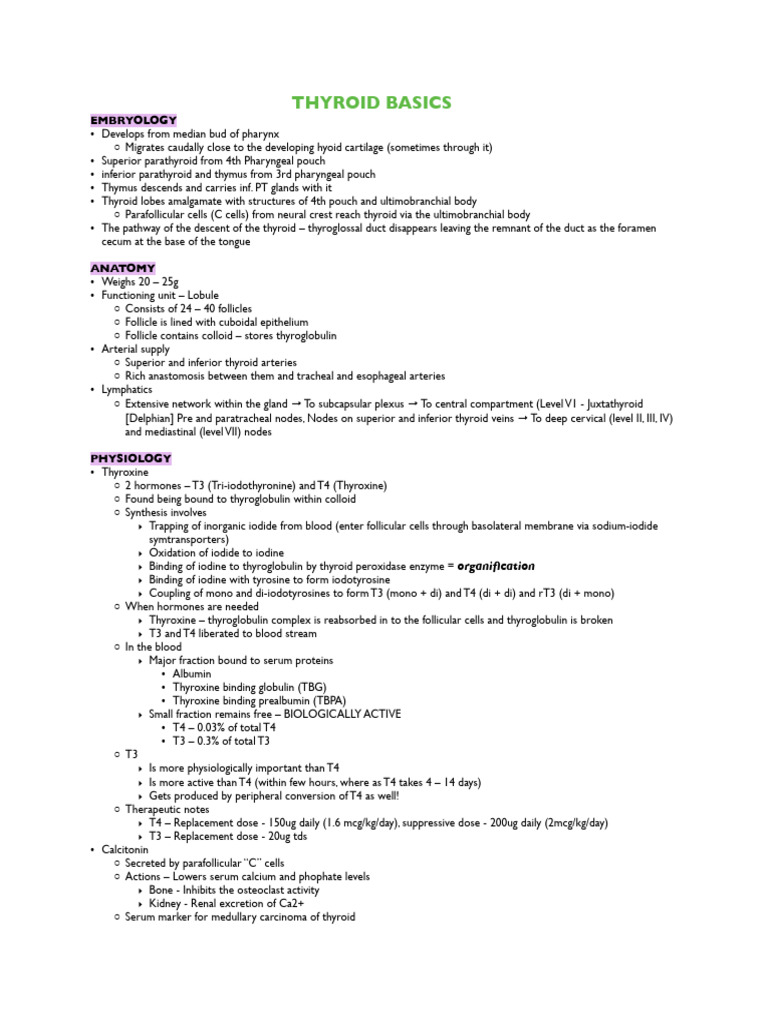 Thyroid Basics | Download Free PDF | Thyroid | Medical Specialties