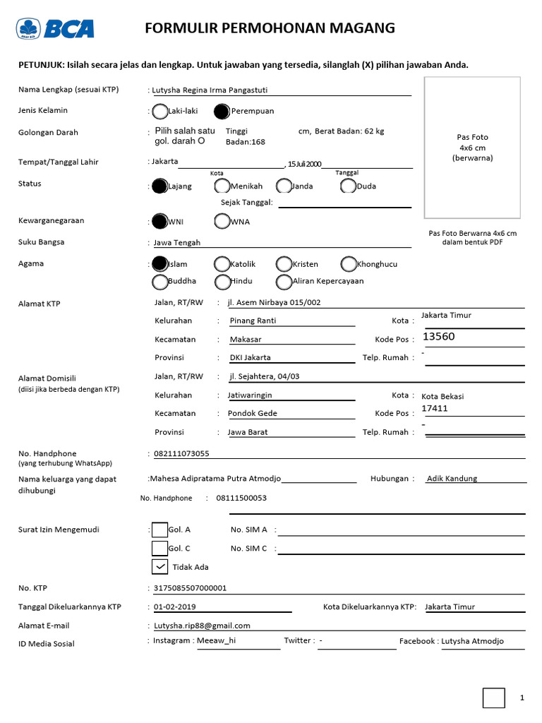 Formulir Permohonan Magang Bca (Fillable Form) - Lutysha Regina Irma Pangastuti | PDF