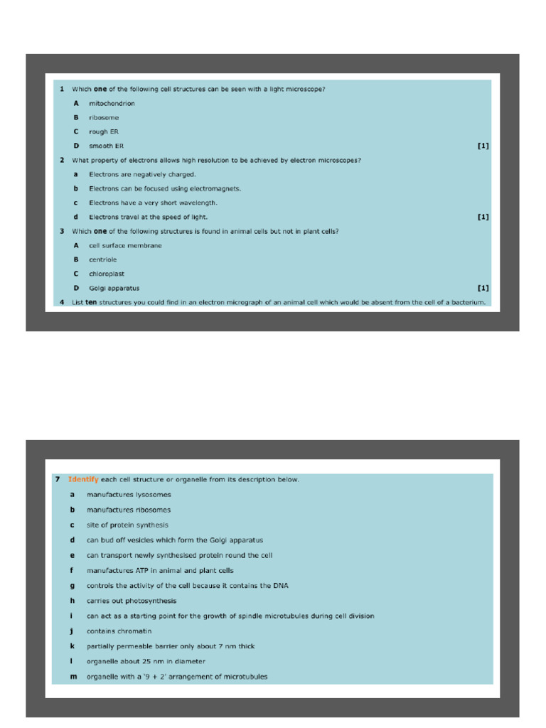 FY - Prokaryotes and Eukaryotes - Excercises | PDF