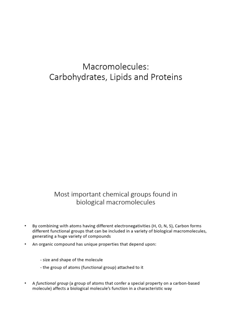 FY - Macromolecules | PDF | Beta Sheet | Protein Structure