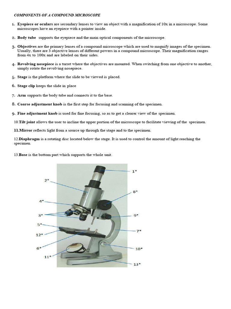Week 2components of A Compound Microscope | PDF