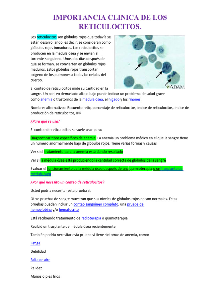RETICULOCITOS | PDF | Anemia | Sangre