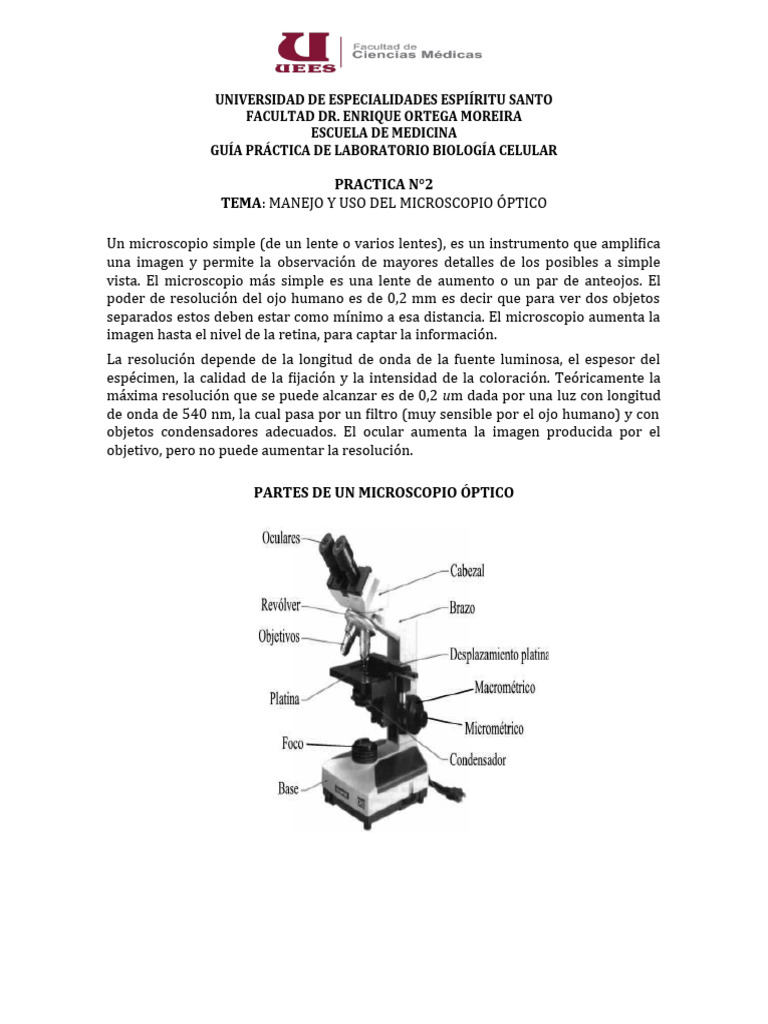 Uso y Manejo del Microscopio Óptico | PDF | Ojo humano | Microscopio