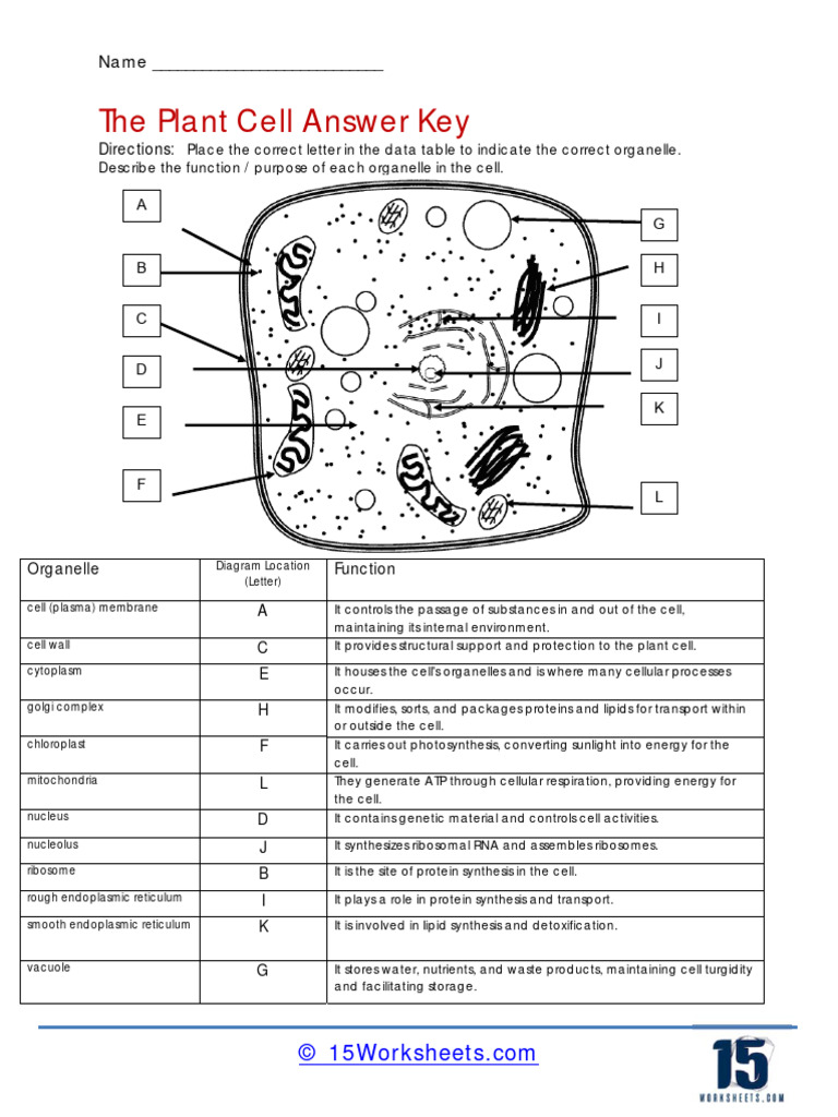 2 Answer 25 | PDF | Cell (Biology) | Organelle