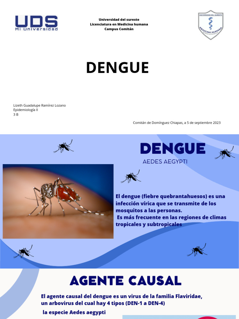 Presentación Dengue | PDF | Causas de la muerte | Especialidades Medicas