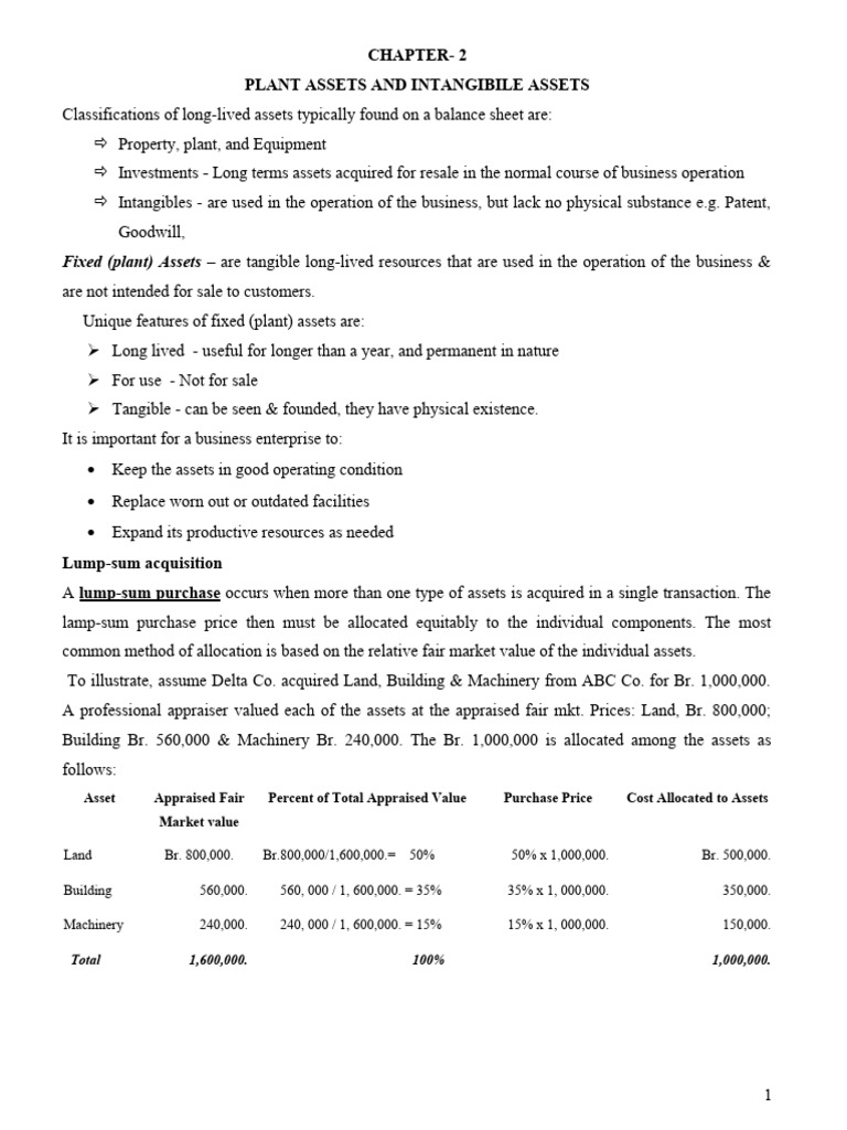 Edited Plant Assets | PDF | Depreciation | Goodwill (Accounting)