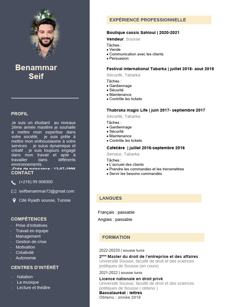 CV Seif | PDF