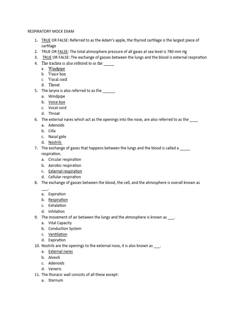 Respiratory System Quiz | PDF | Science & Mathematics