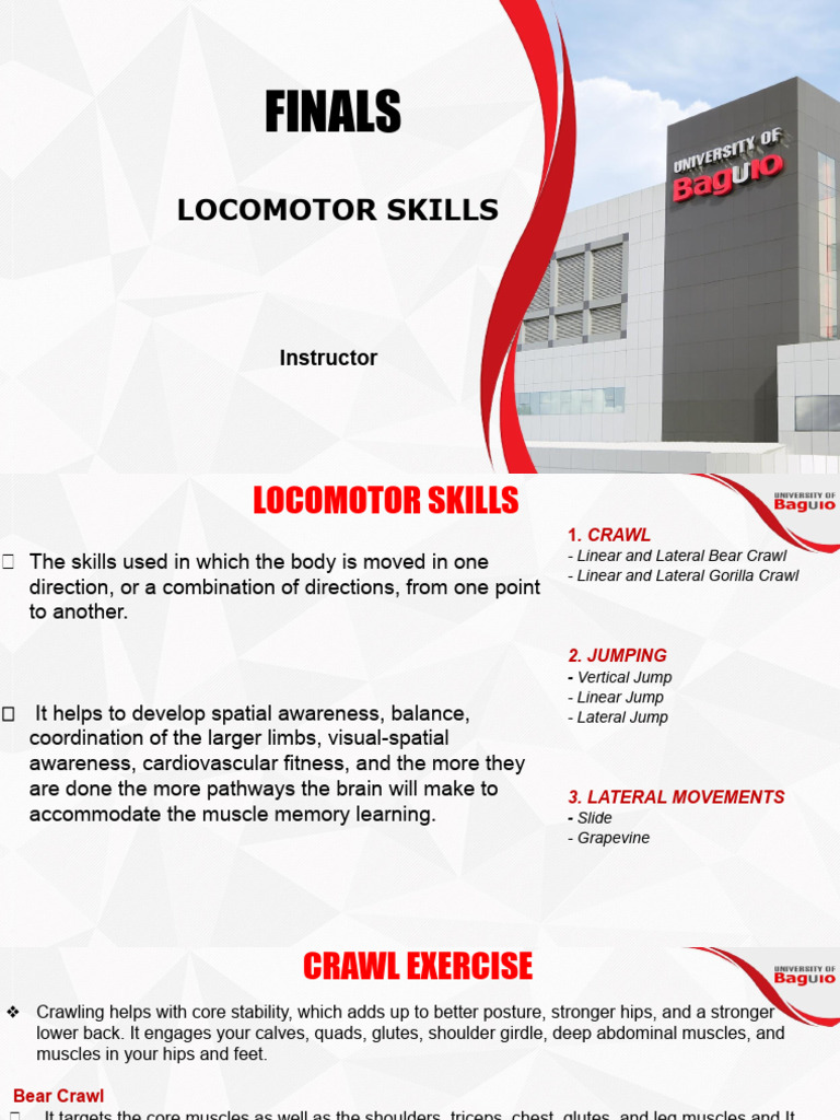 LOCOMOTOR SKILLS First Sem | PDF | Skeletal Muscle | Hip