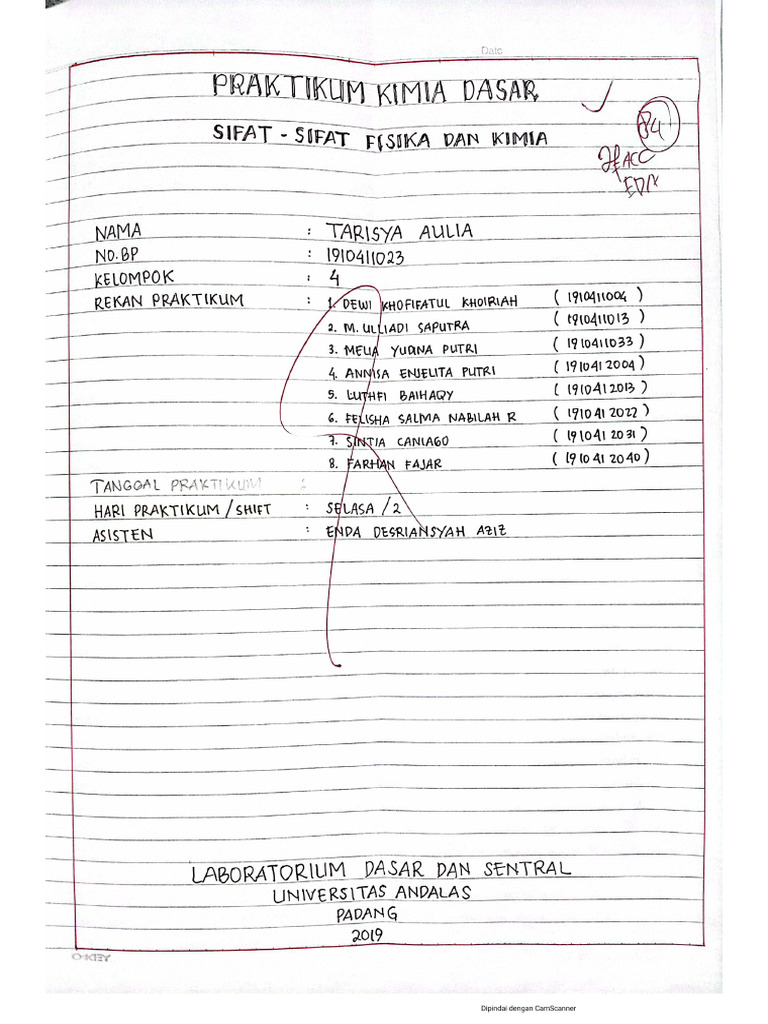 Contoh Laporan Awal | PDF