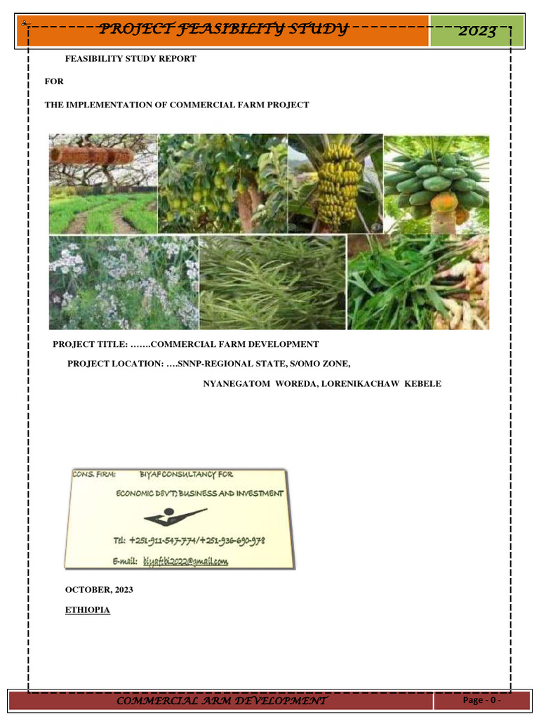 Feasibility Study for Commercial Farming | PDF | Beehive | Agriculture